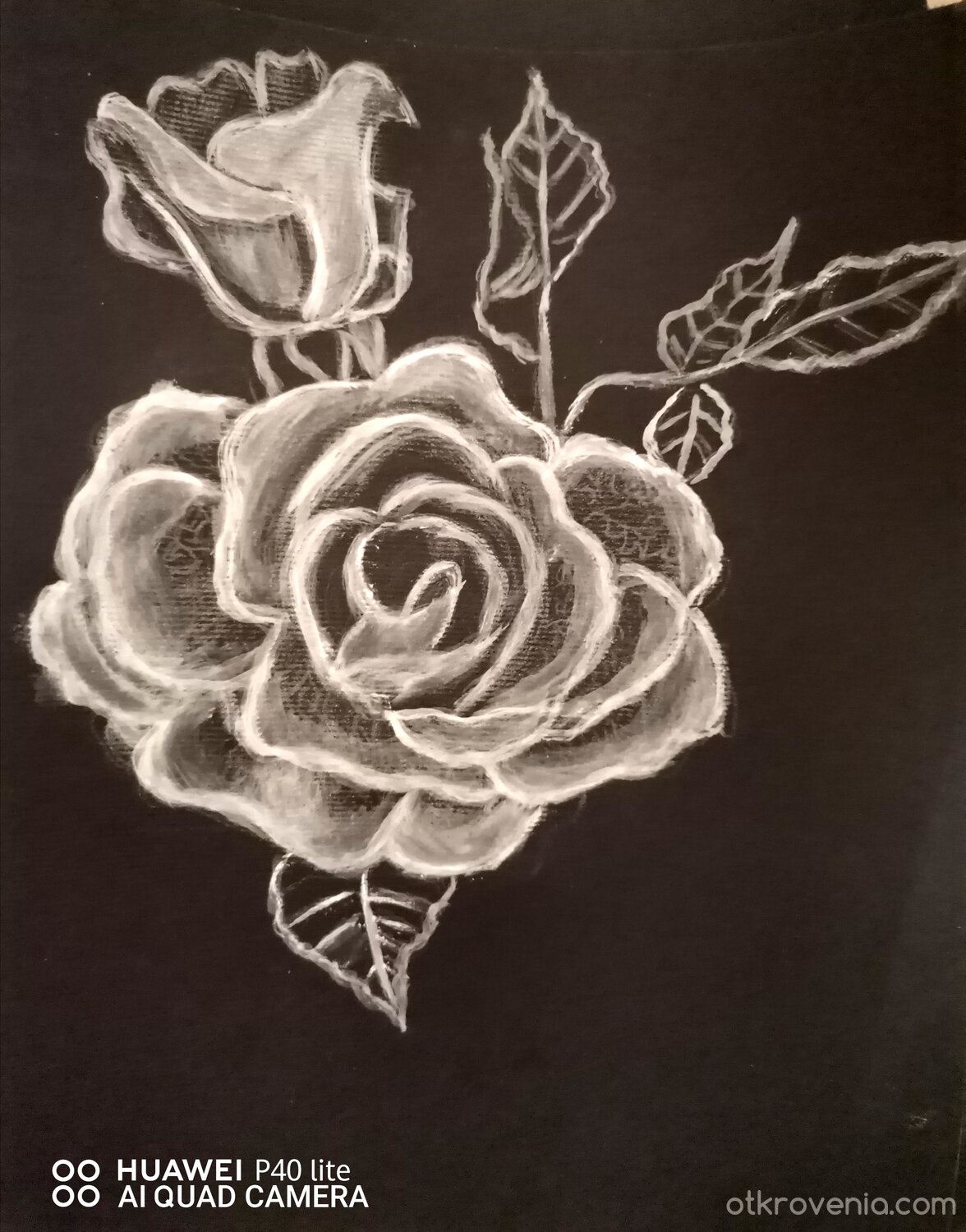 Роза - drawing: Other by eliboneva (Елица Бонева)