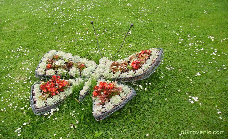Цветна пеперуда - photo: Objects, Landscape by vita65 (Виолета Арнаудова)